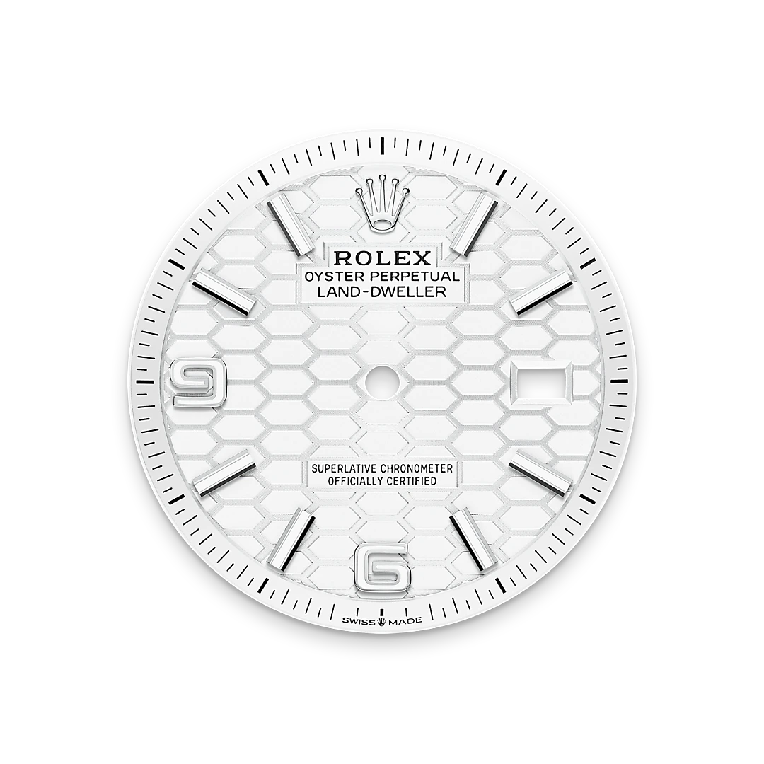 Rolex Land-Dweller 36 White Rolesor, M127234-0001