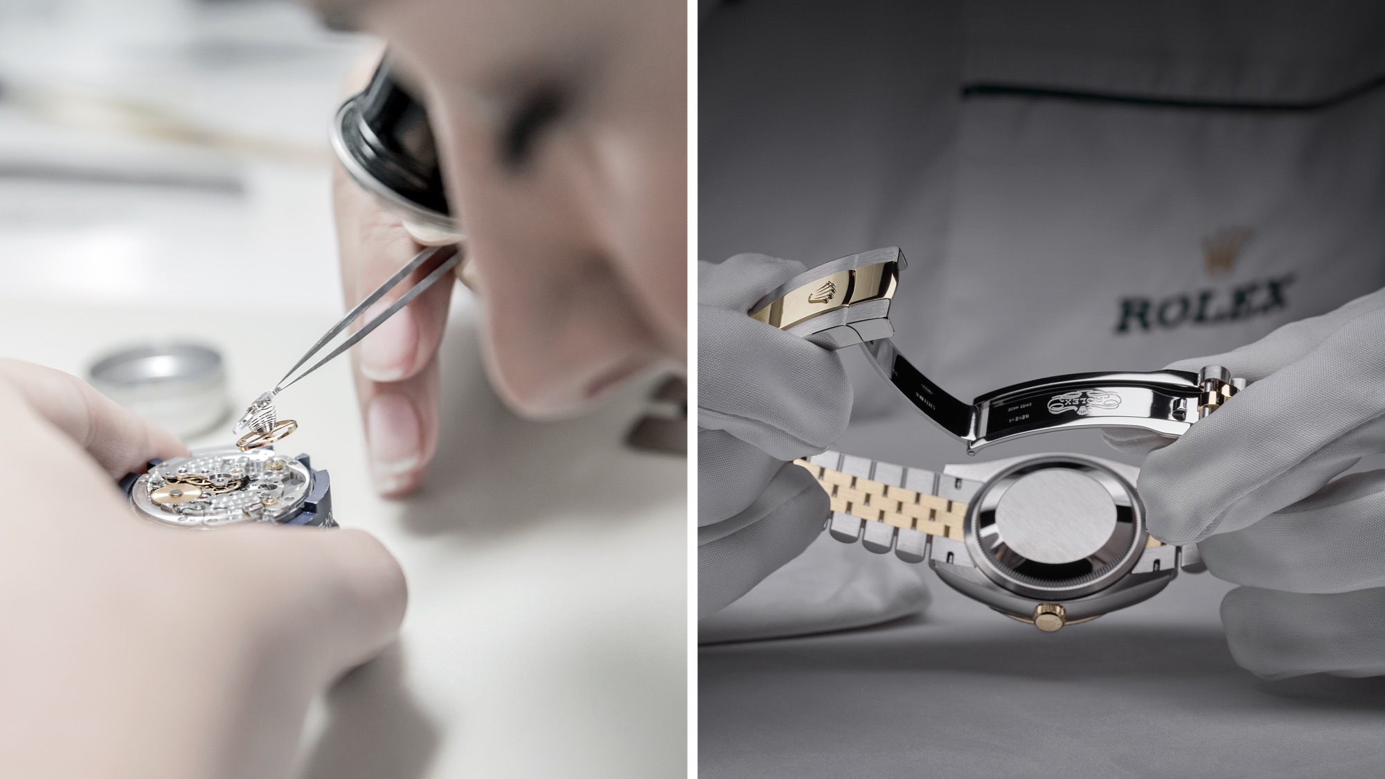 A Voyage Into The World of Rolex | Washington Watches