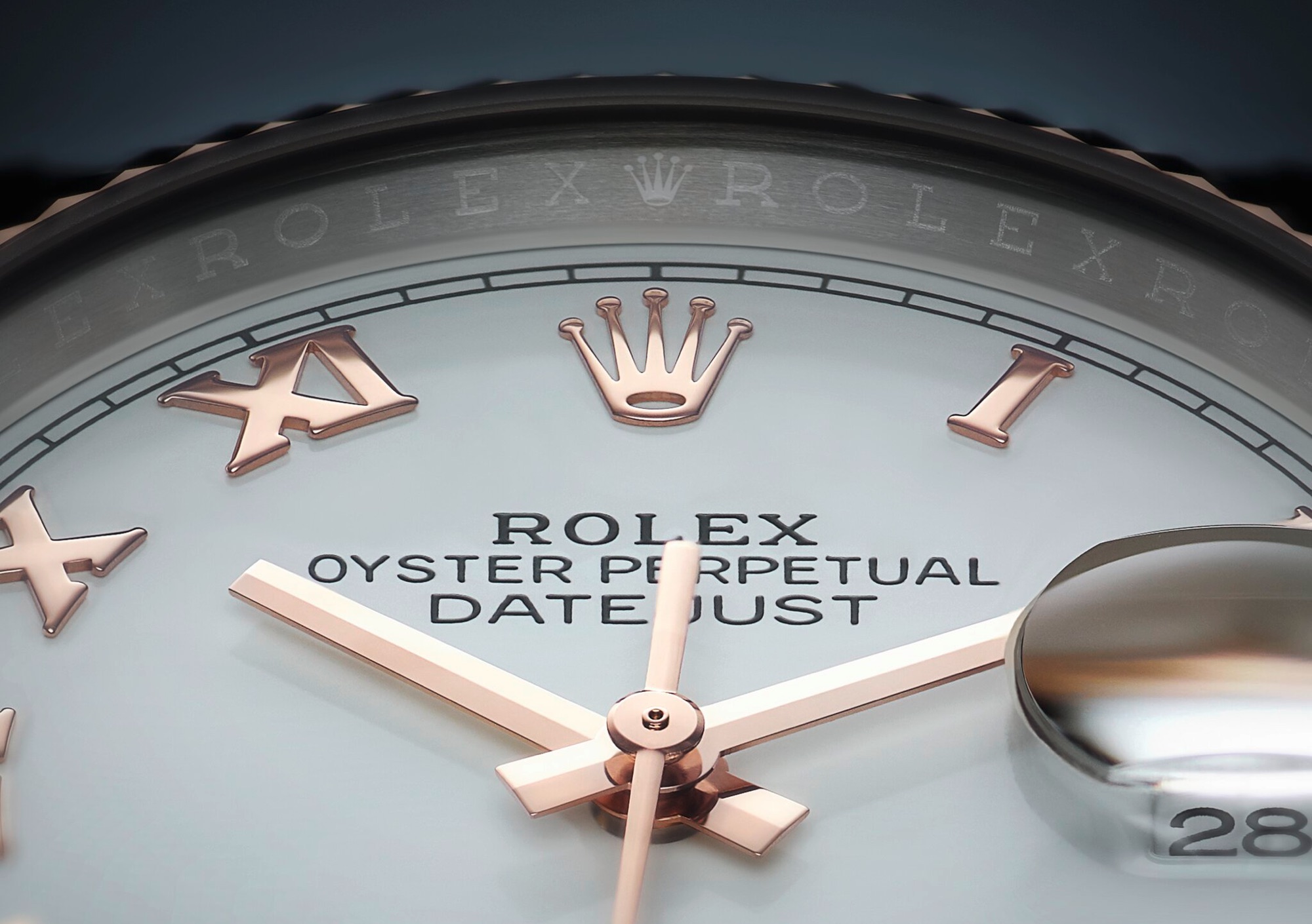 A Voyage Into The World of Rolex | Washington Watches